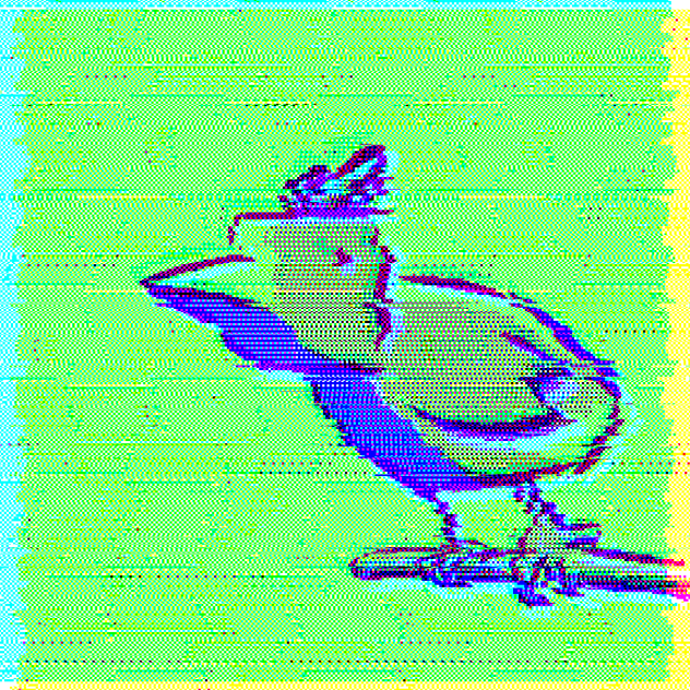 Box Head Bird2 - ibisPaint