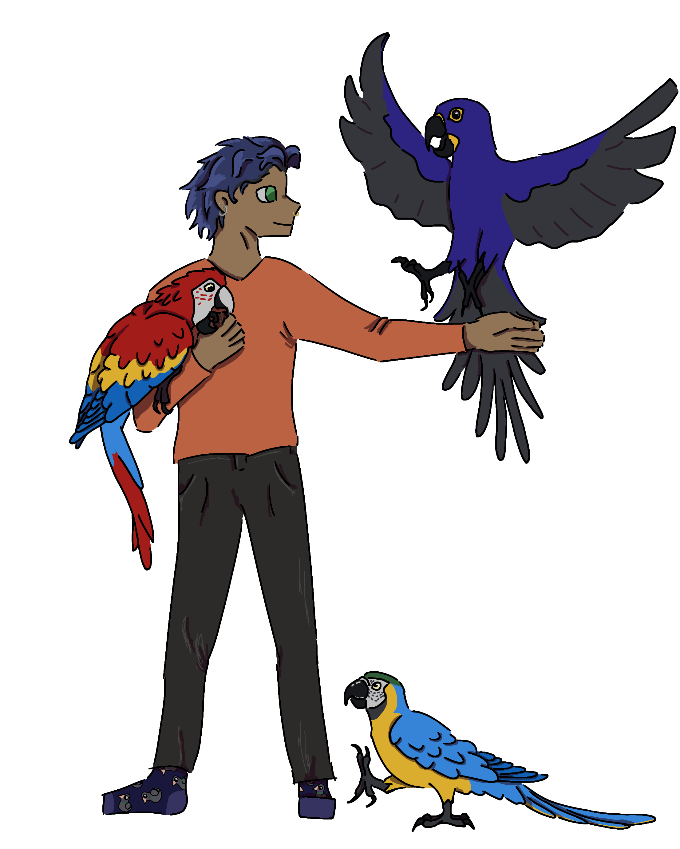 birb guy - ibisPaint