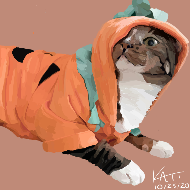 Pumpkin Patches!! -Dreamwastaken Fanart - ibisPaint