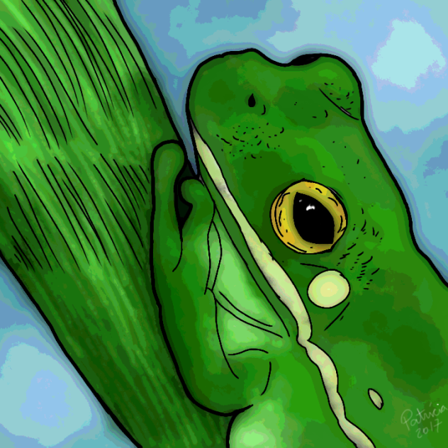 Frog - ibisPaint