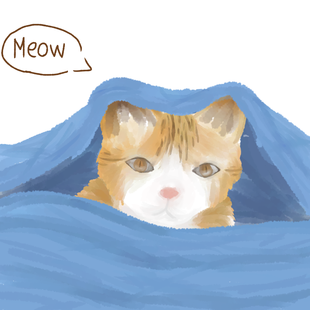 yellow tabby cat - ibisPaint