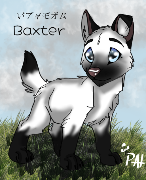 Baxter the German Shepherd puppy - ibisPaint