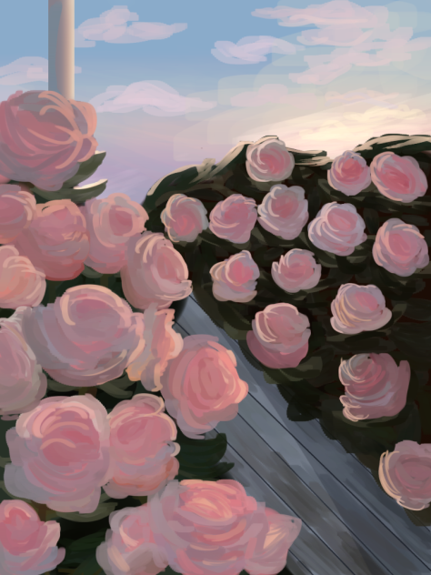 pink roses - ibisPaint
