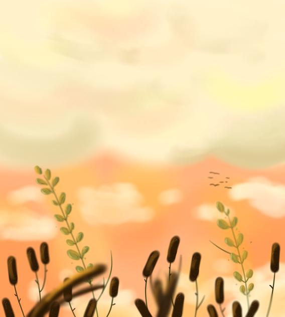 sunset fields 🌞 - ibisPaint