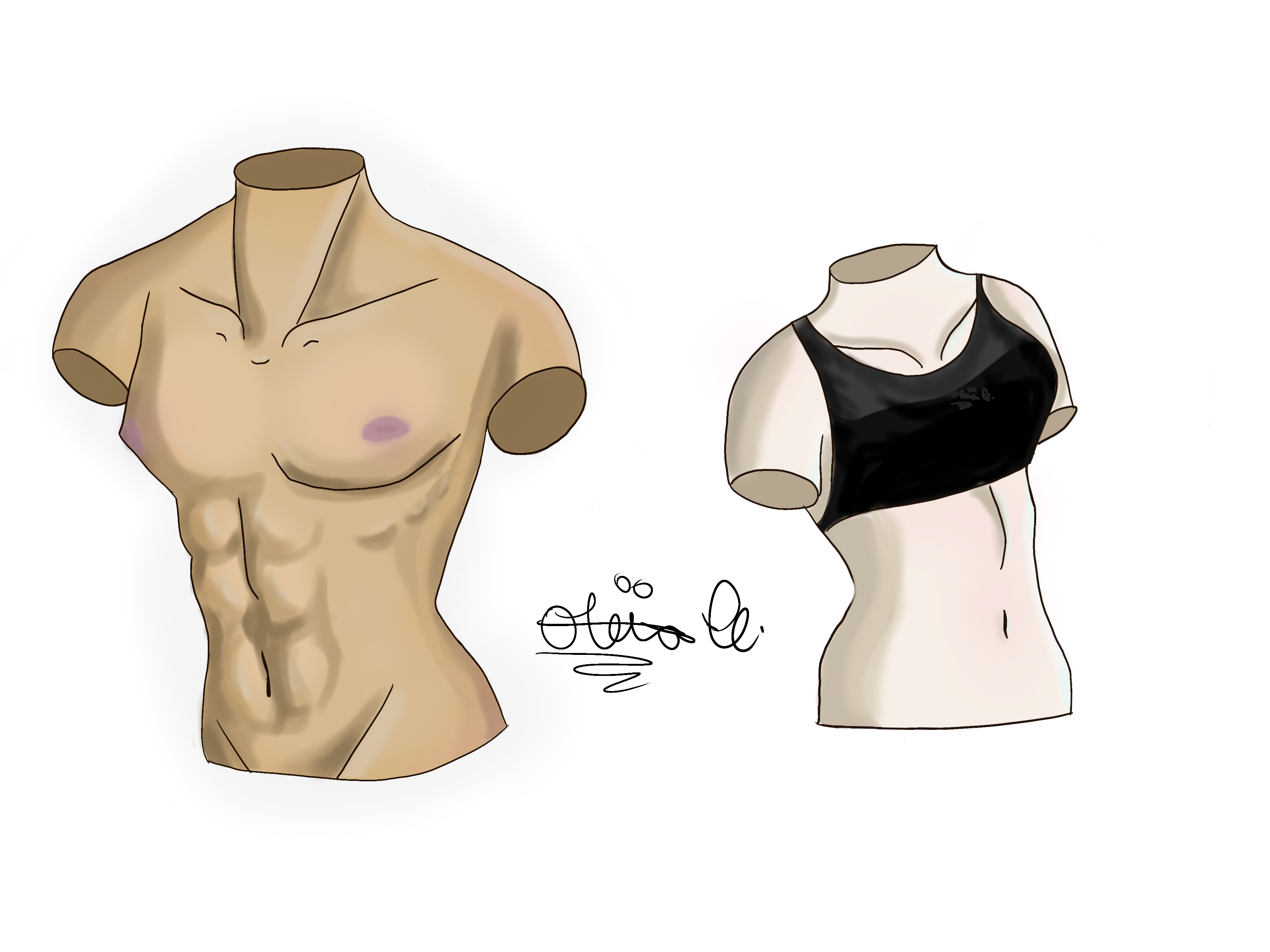 attempt at drawing torso - ibisPaint