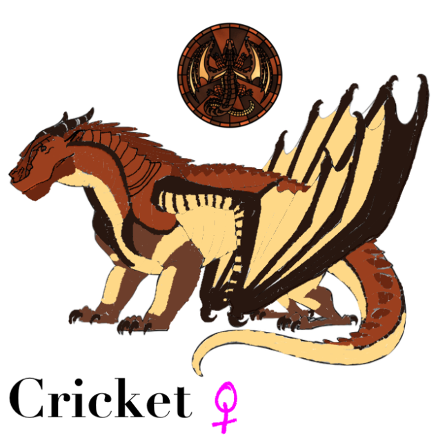 Cricket - colored from free base - ibisPaint