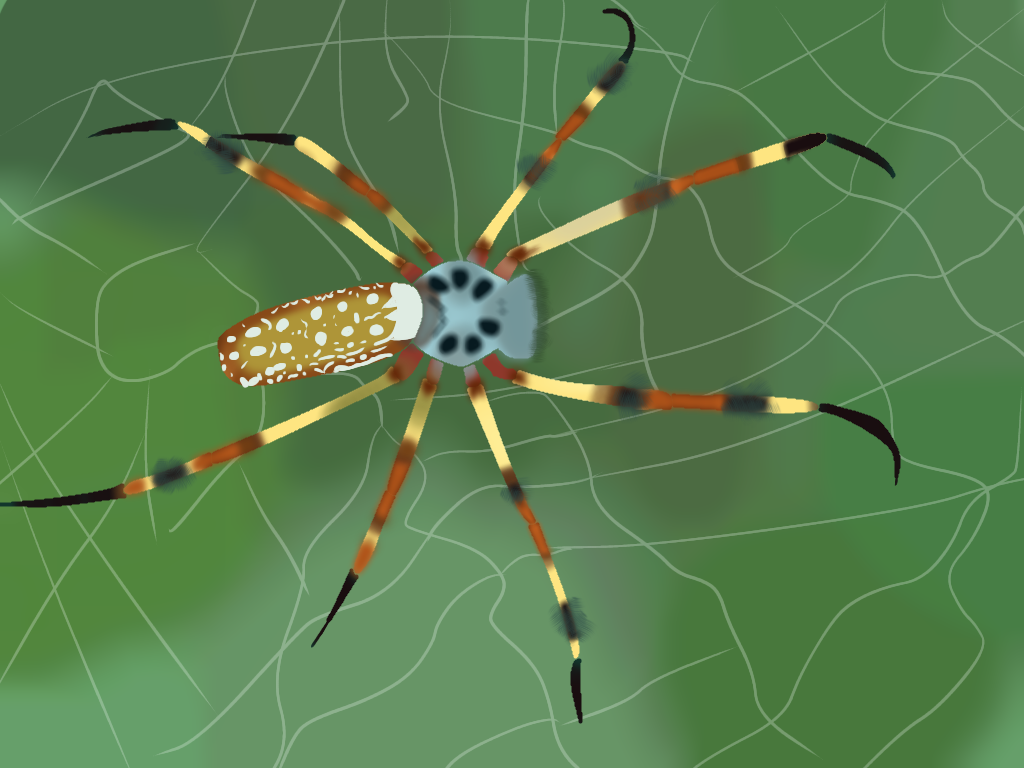 Golden Silk Orb Weaver - ibisPaint