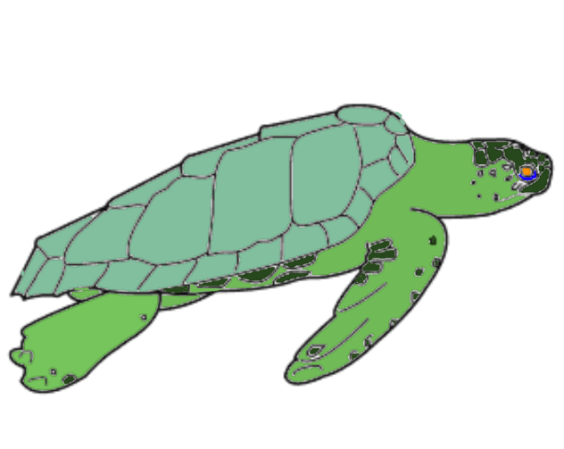 Mistic turtle - ibisPaint