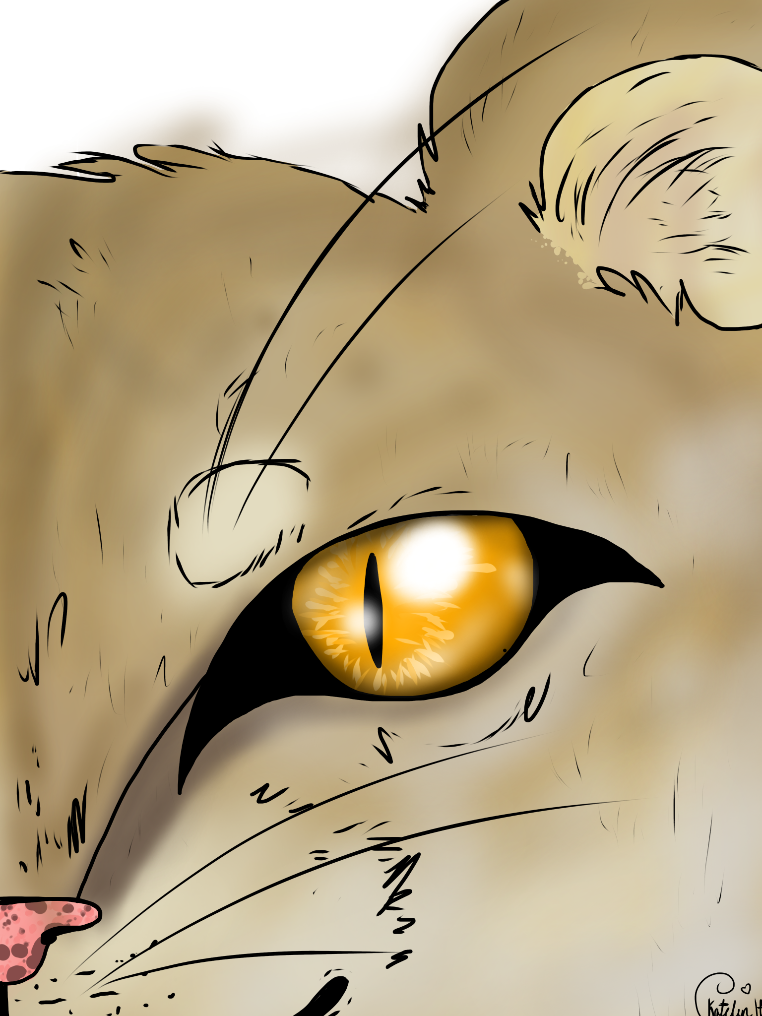 Mountain Lion - ibisPaint