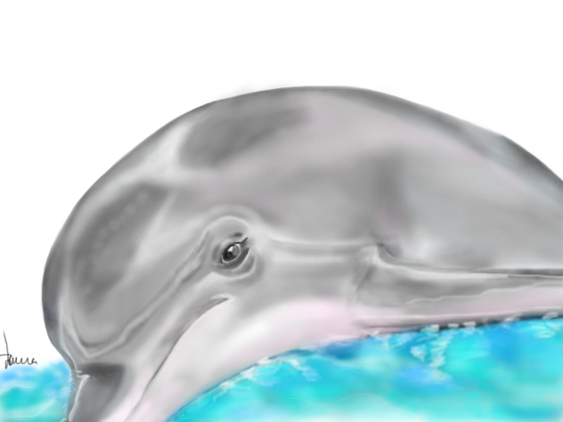Dolphin - ibisPaint