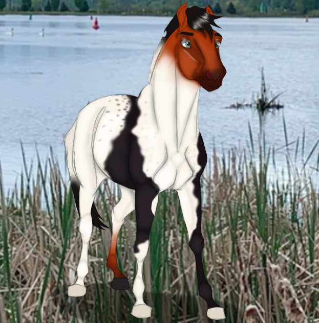 Ryder lake - ibisPaint