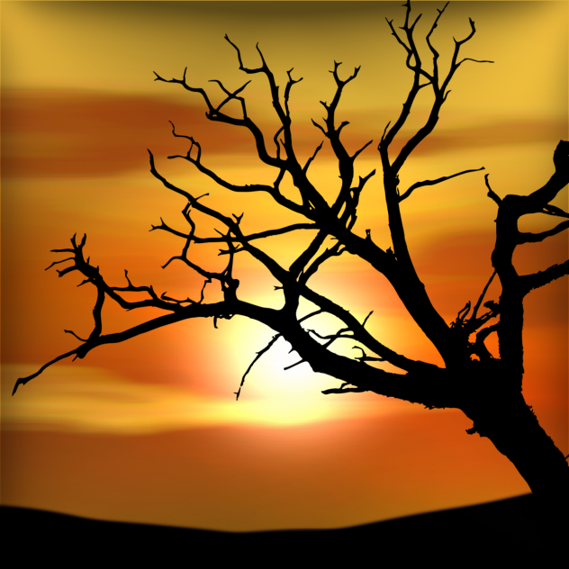 Desert Sunset - ibisPaint