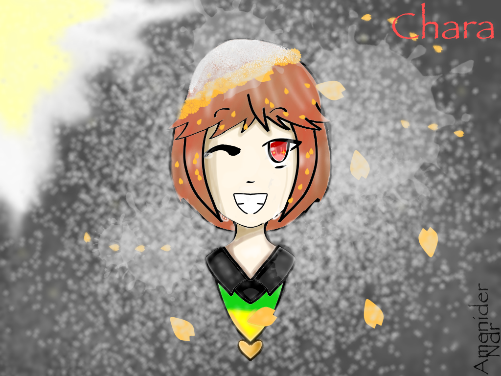 Chara speedpaint - ibisPaint