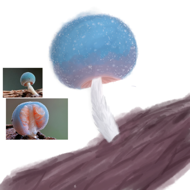 Blue caprinopsis mushroom - ibisPaint