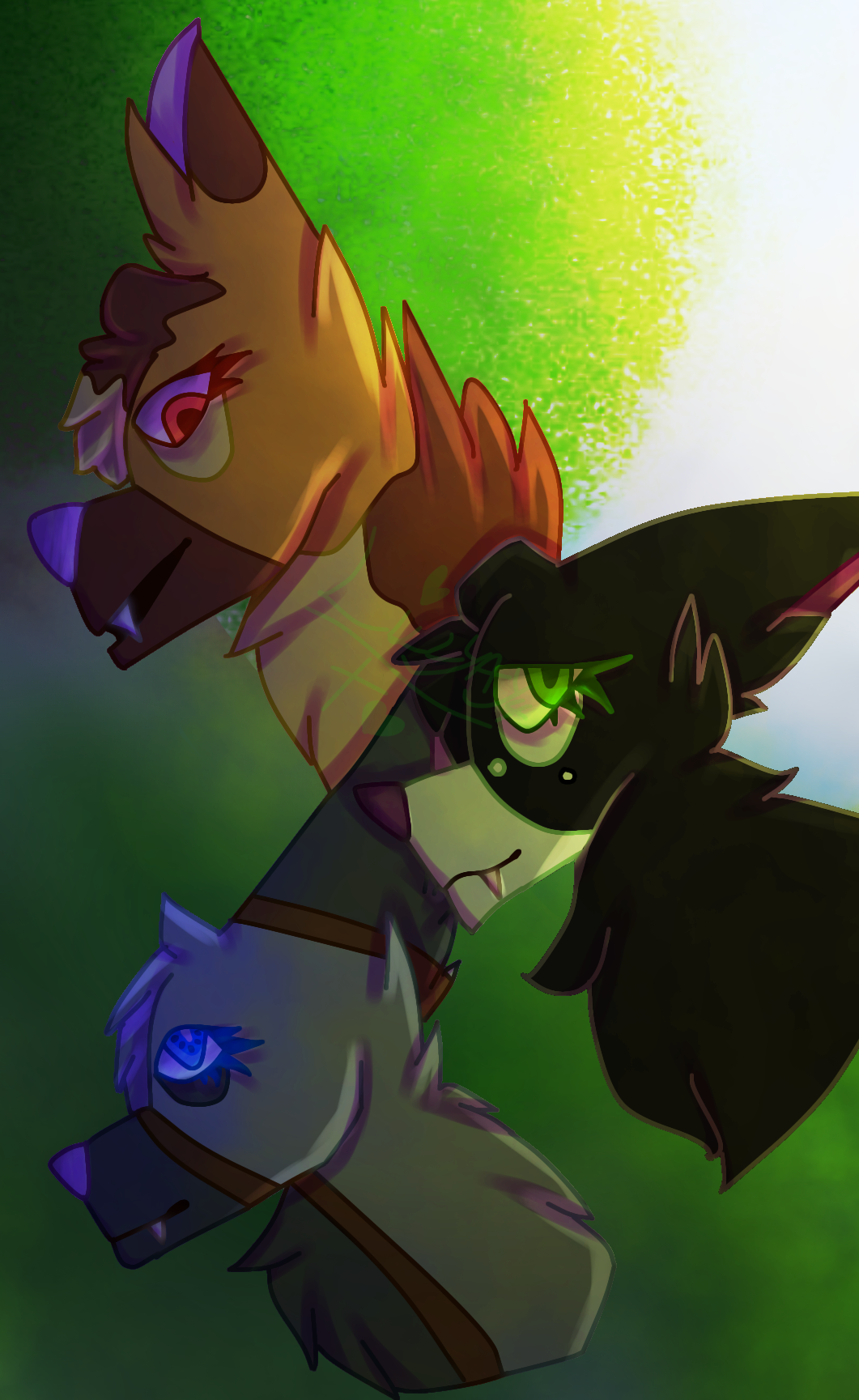 jayfeather , hollyleaf , and lionblaze - ibisPaint