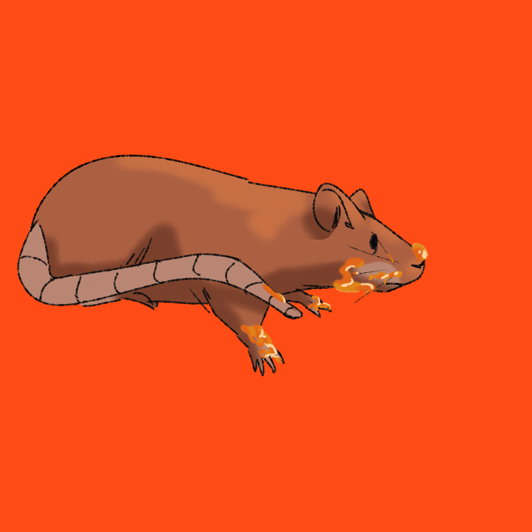 jam rat - ibisPaint