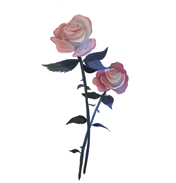 Roses 2 - ibisPaint