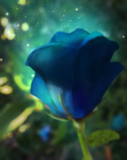 Blue Rose - ibisPaint