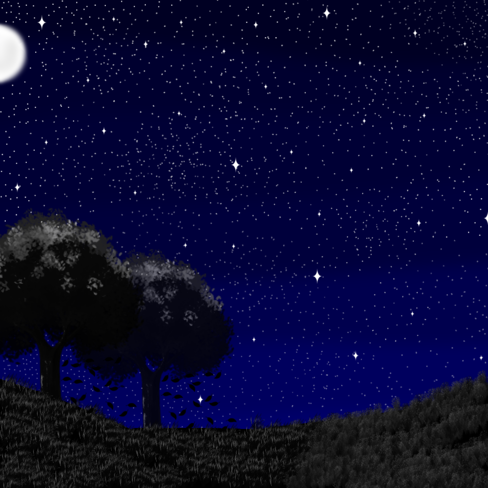 night view - ibisPaint