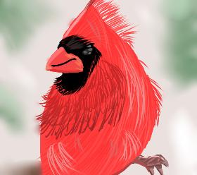 Bird - ibisPaint