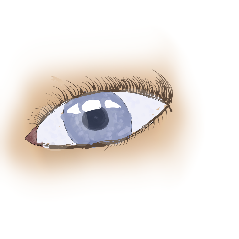 lb attempt.... - ibisPaint