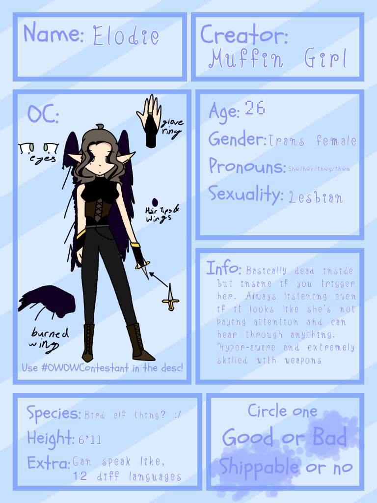 Character Sheet for One Winner, One Wish - ibisPaint