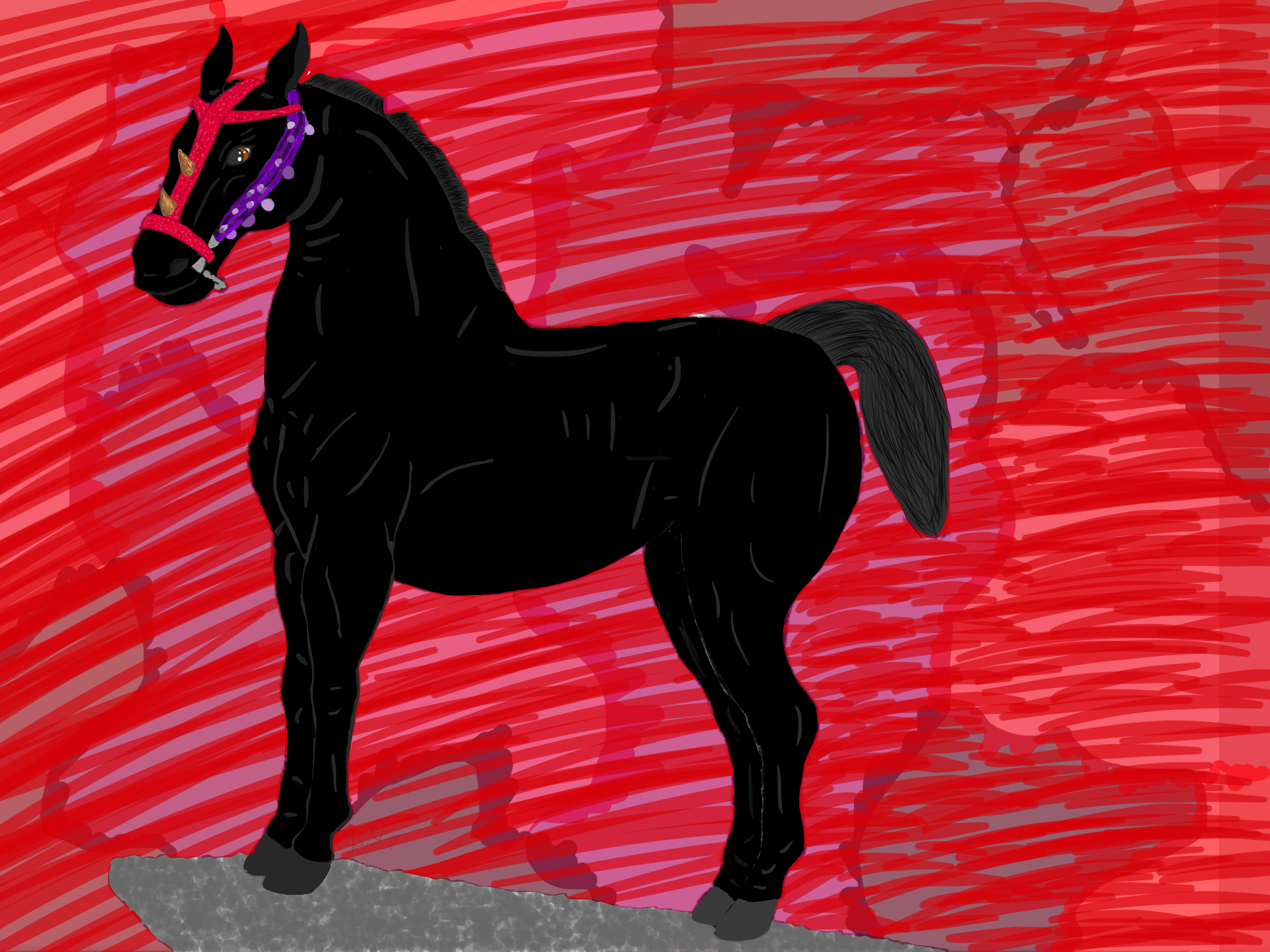 Blackie the horse. (mare) - ibisPaint