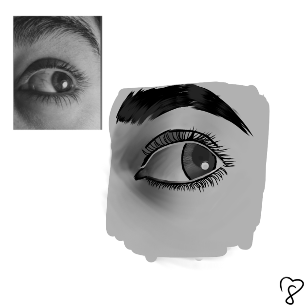 Reference drawing - ibisPaint