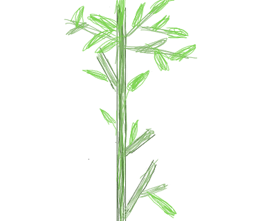 bamboo - ibisPaint