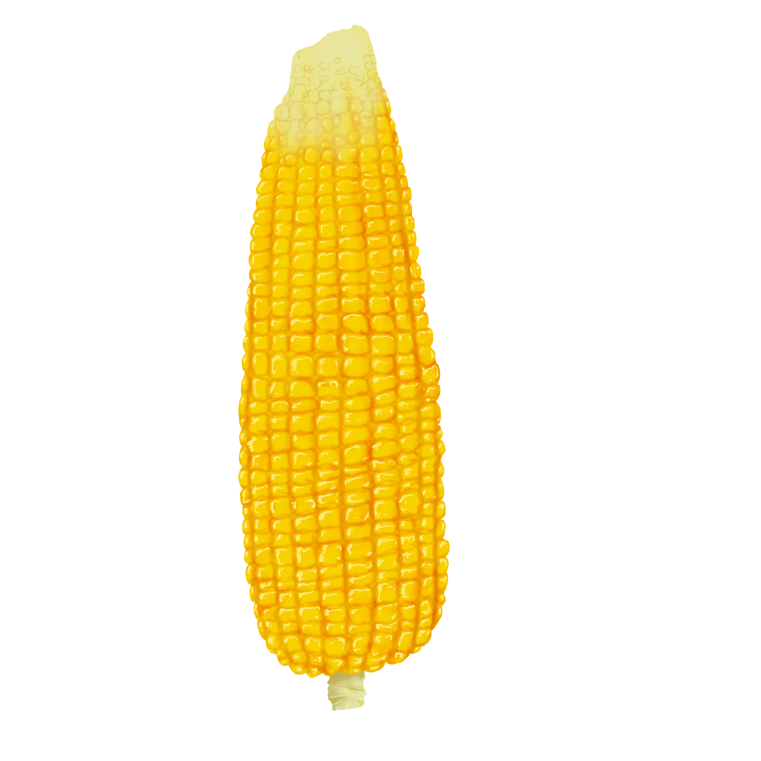 the corn - ibisPaint
