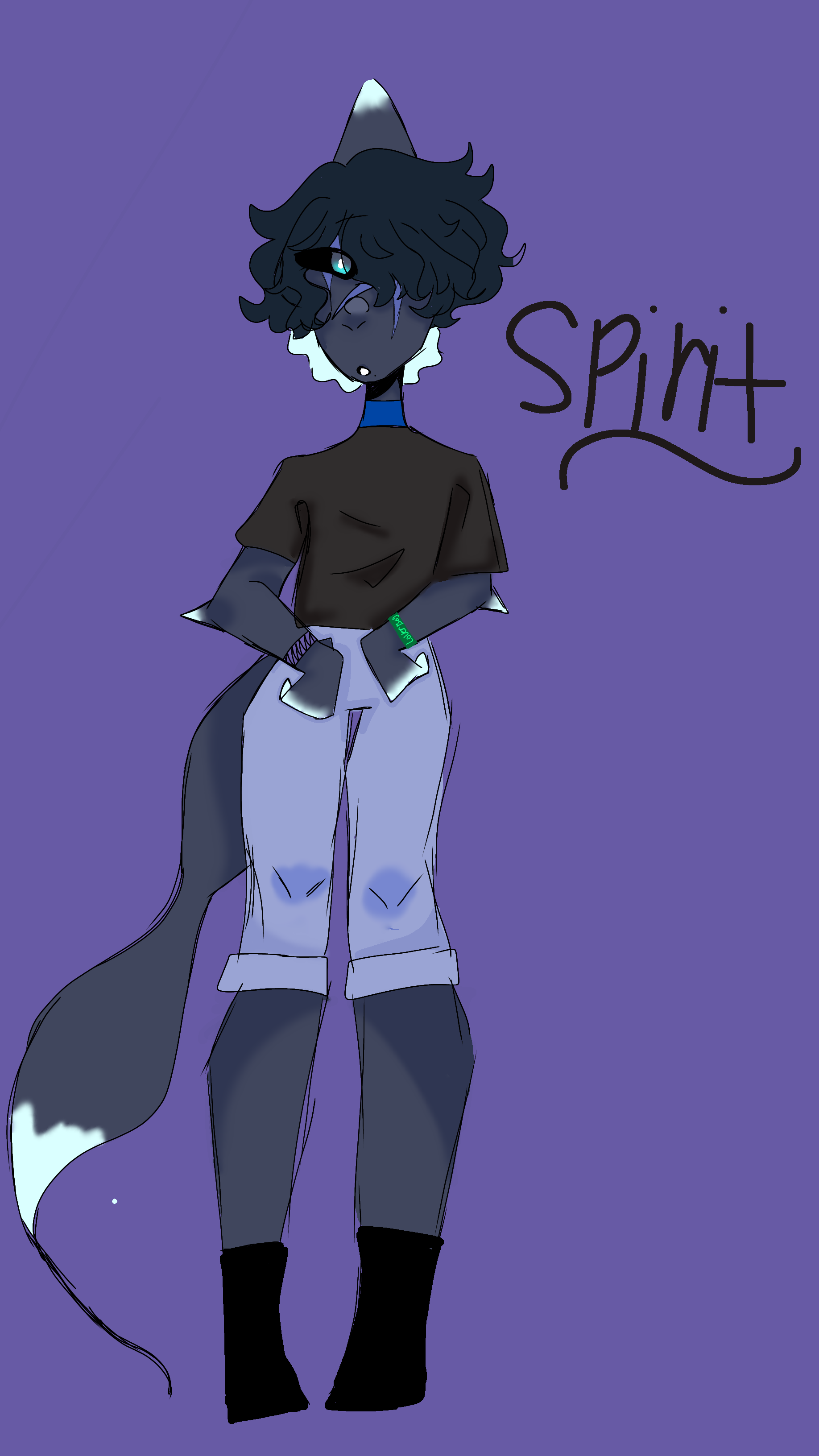 spirit - ibisPaint