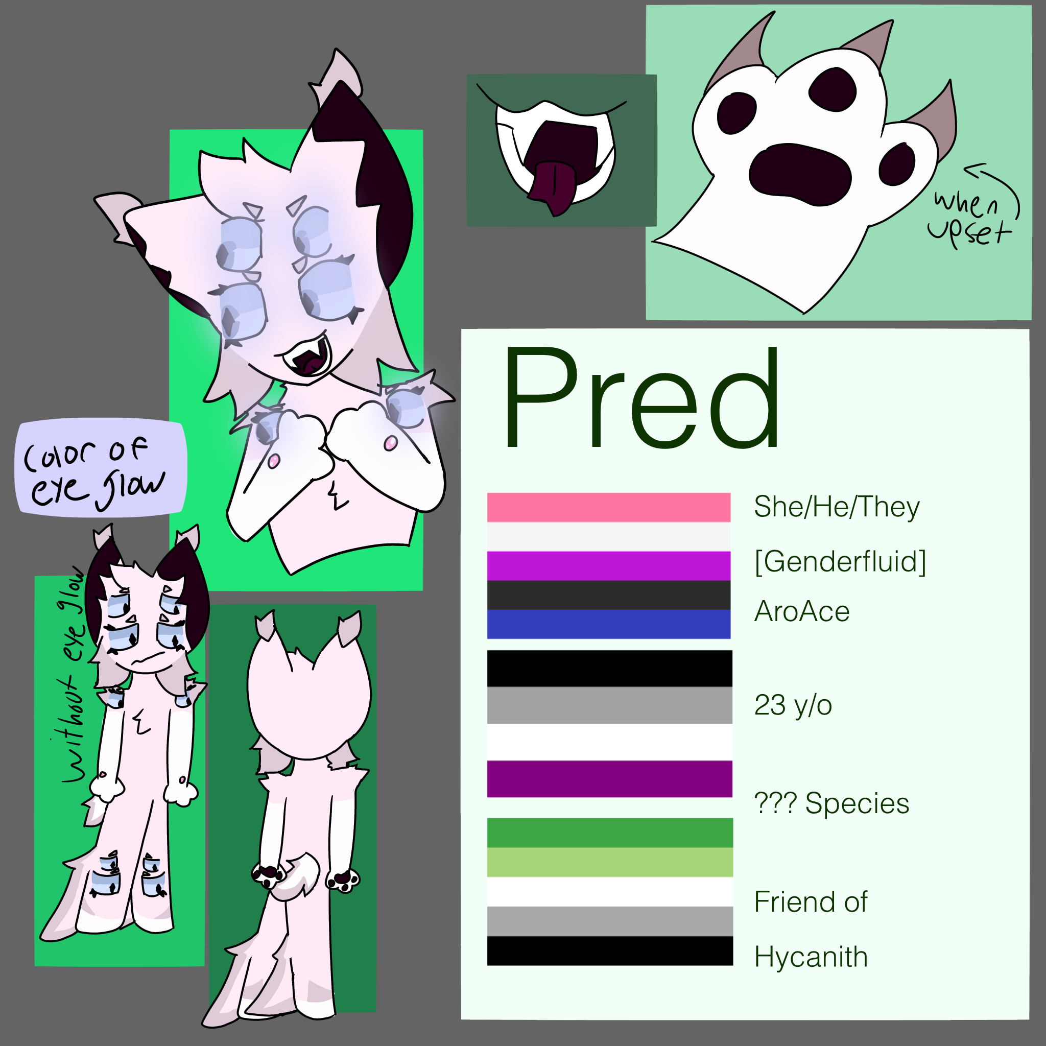 Pred ref sheet - ibisPaint