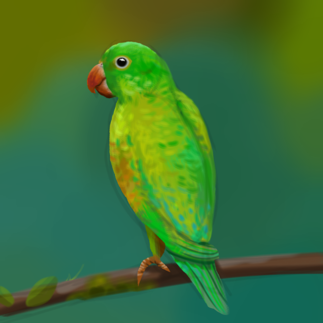 parrot - ibisPaint