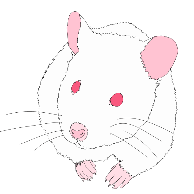 ratface - ibisPaint