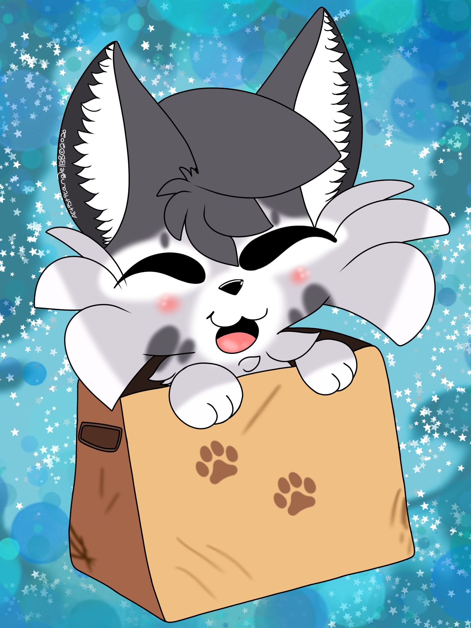 Cat Game Cat Collector ~ Box - ibisPaint