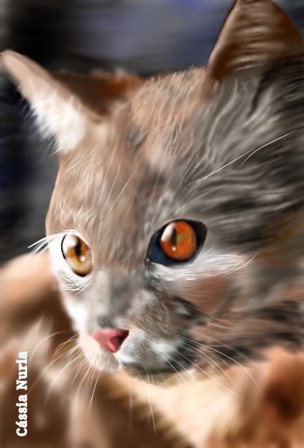 Gato Realista - ibisPaint