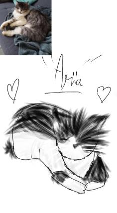 Arïa ,my cat - ibisPaint