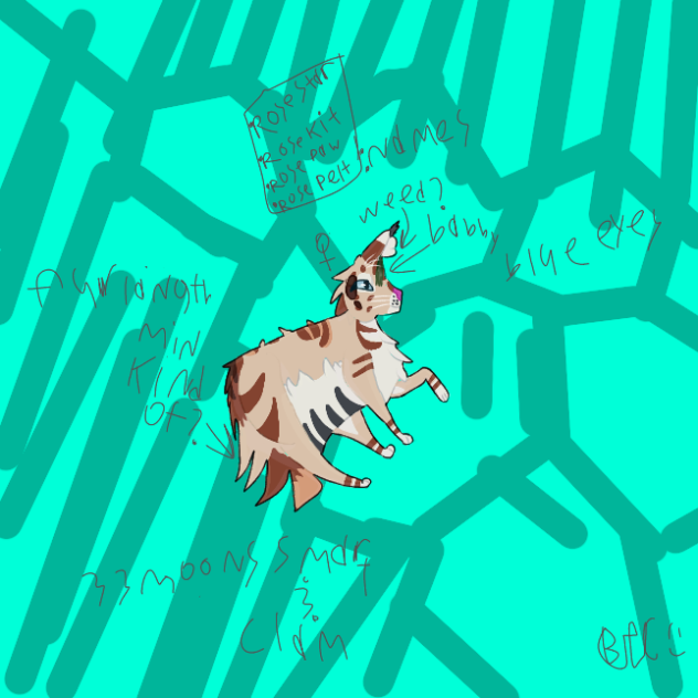 rose pelt warrior cats - ibisPaint