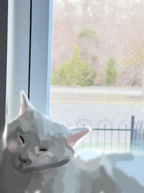 𝐌𝐲 𝐜𝐚𝐭 - ibisPaint