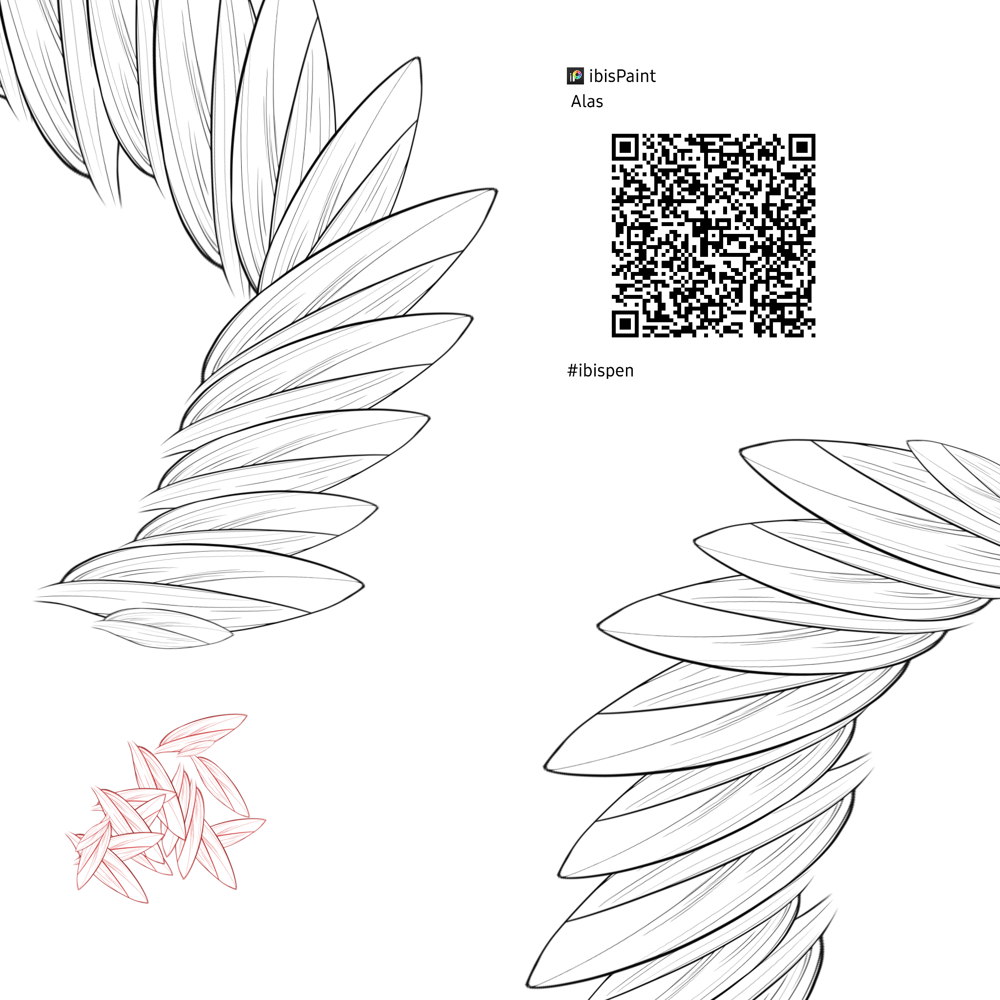 feathers - ibisPaint