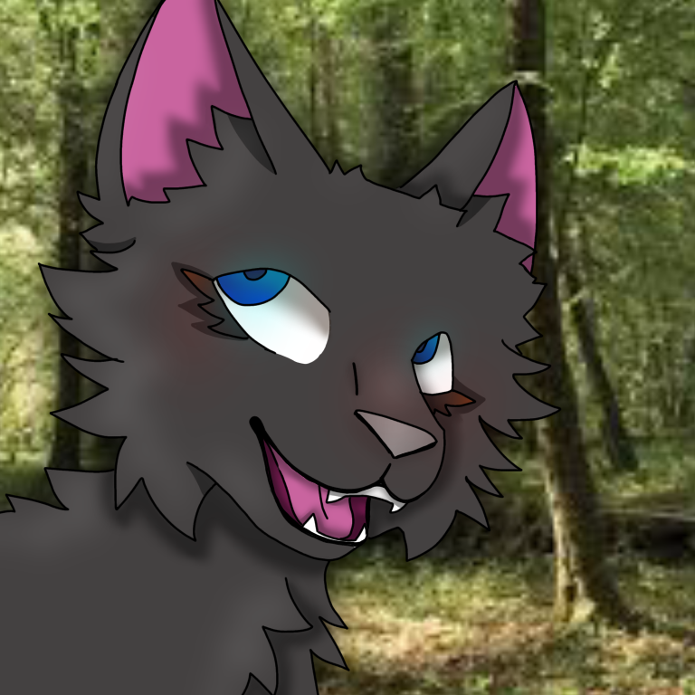 Cinderpelt because yes - ibisPaint