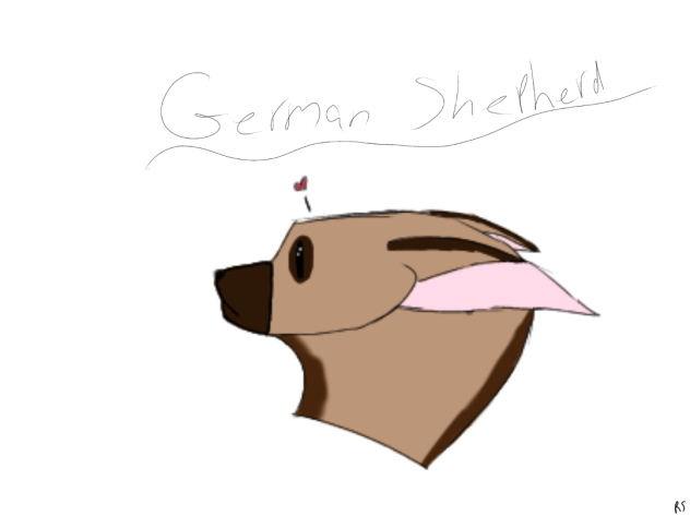 German Shepard - ibisPaint