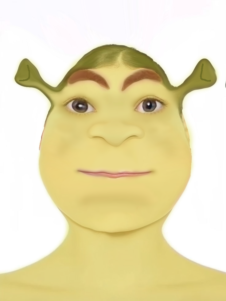 shrek girl - ibisPaint