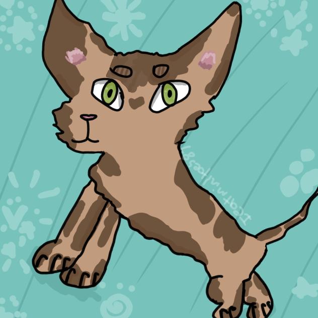 fluffy cream cat! - ibisPaint