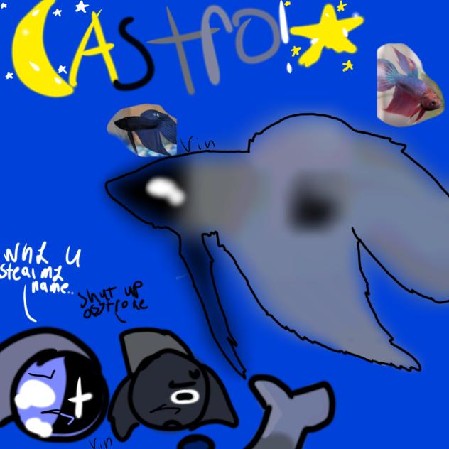 My Male Veiltail Betta fish Astro! - ibisPaint