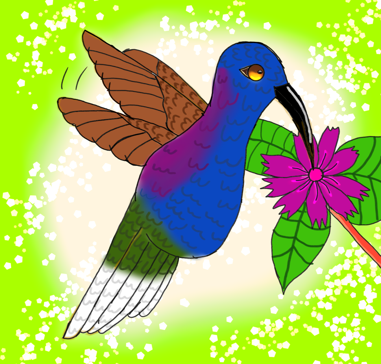 Humming Bird - ibisPaint