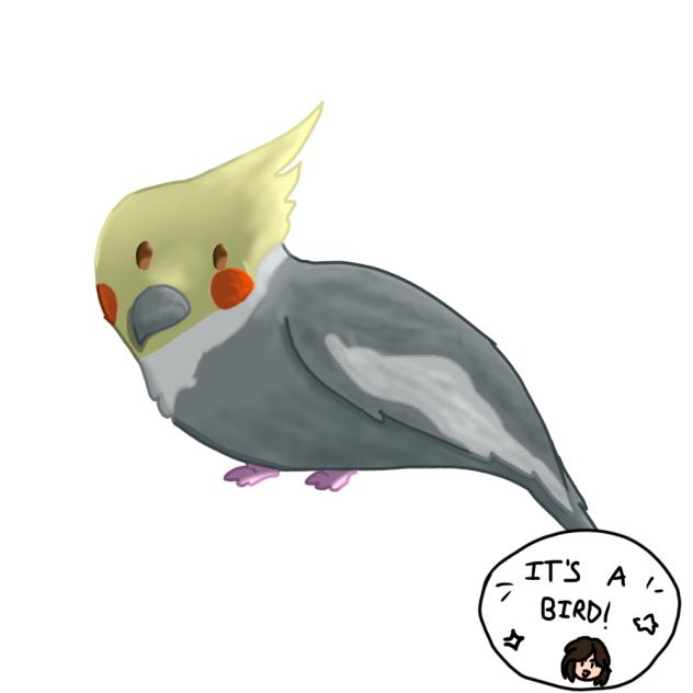 My birb obsession - ibisPaint