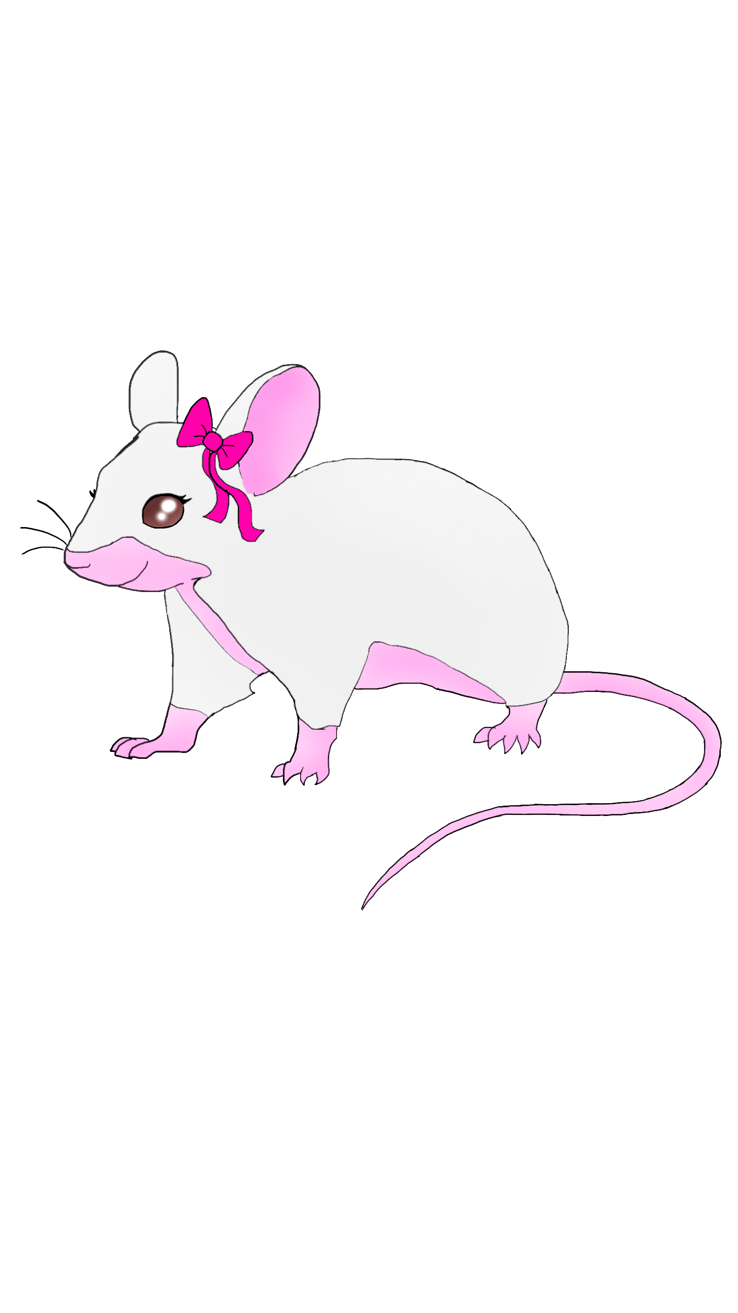 request; rat 3 - ibisPaint