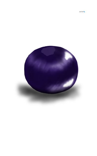 Blueberry - ibisPaint