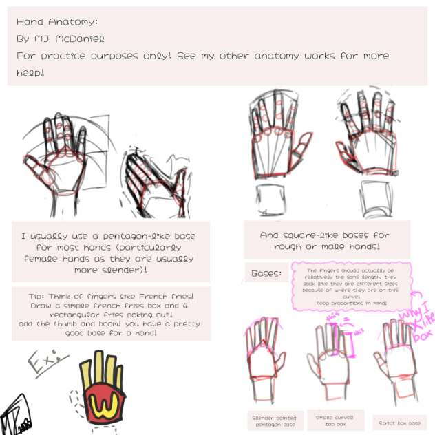Hand Anatomy! - ibisPaint